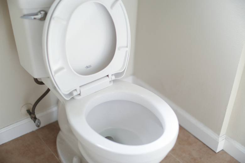 Dinge, die Sie nicht die Toilette hinunterspülen sollten